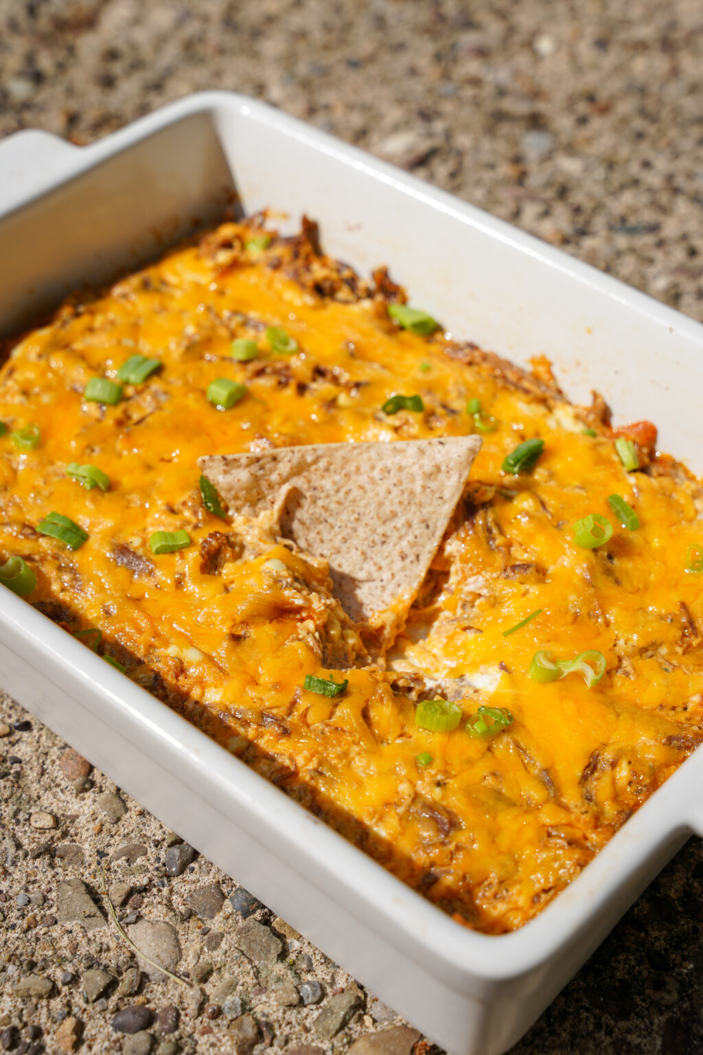 BEST Buffalo Wild Turkey Dip (Using Leg or Breast Meat!) - JennDanella.com